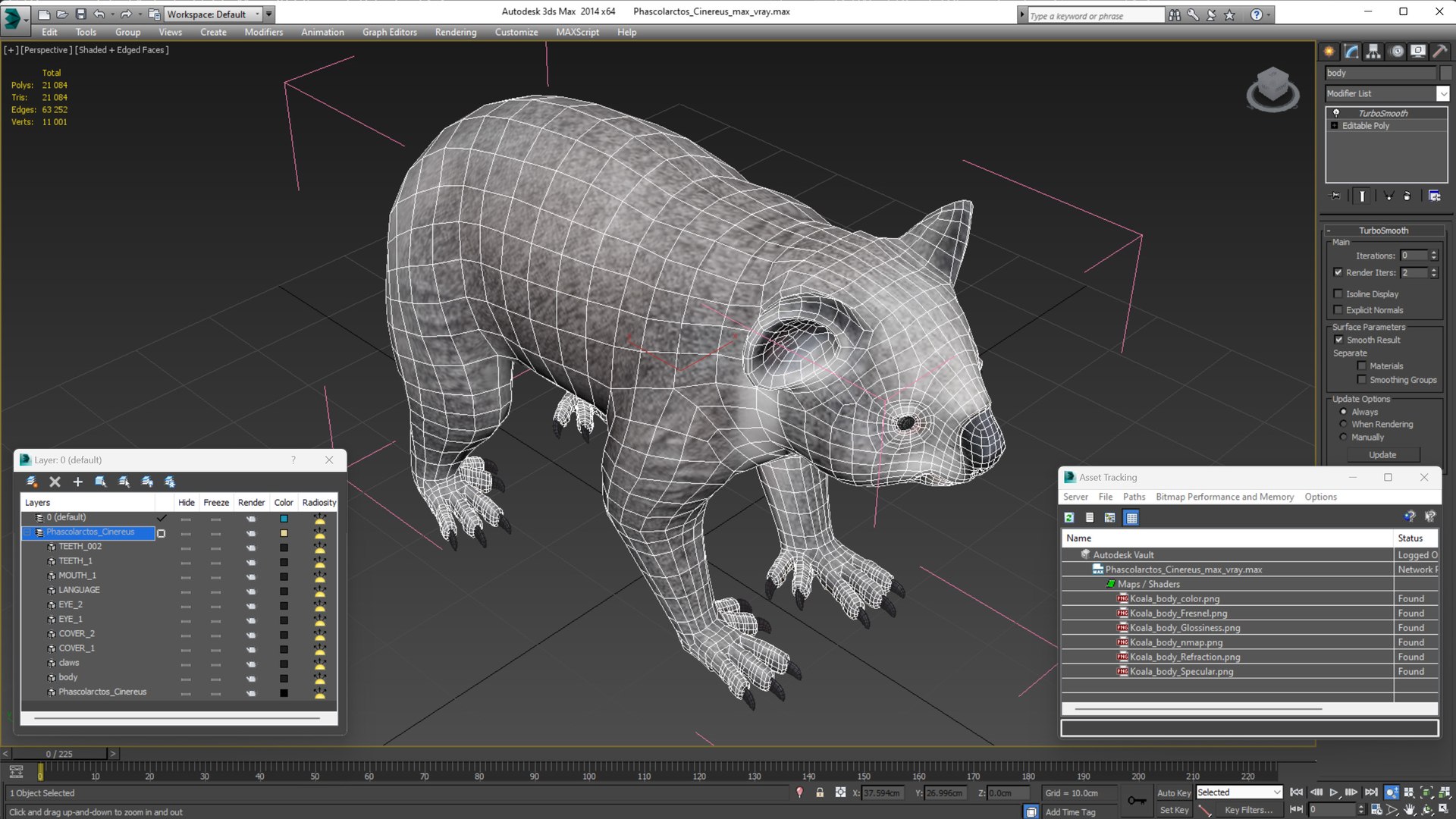 3D Phascolarctos Cinereus - TurboSquid 2167459