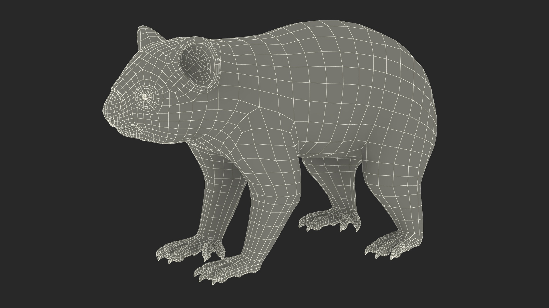 3D Phascolarctos Cinereus - TurboSquid 2167459