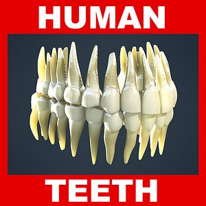 Mouth STL Models for Download | TurboSquid