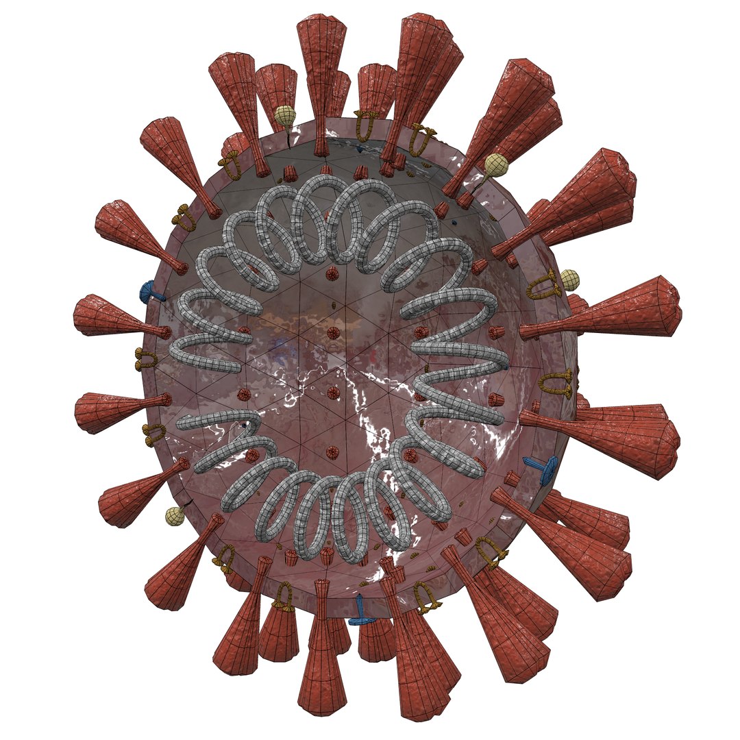 Coronavirus Virus Cell Model - TurboSquid 1519563