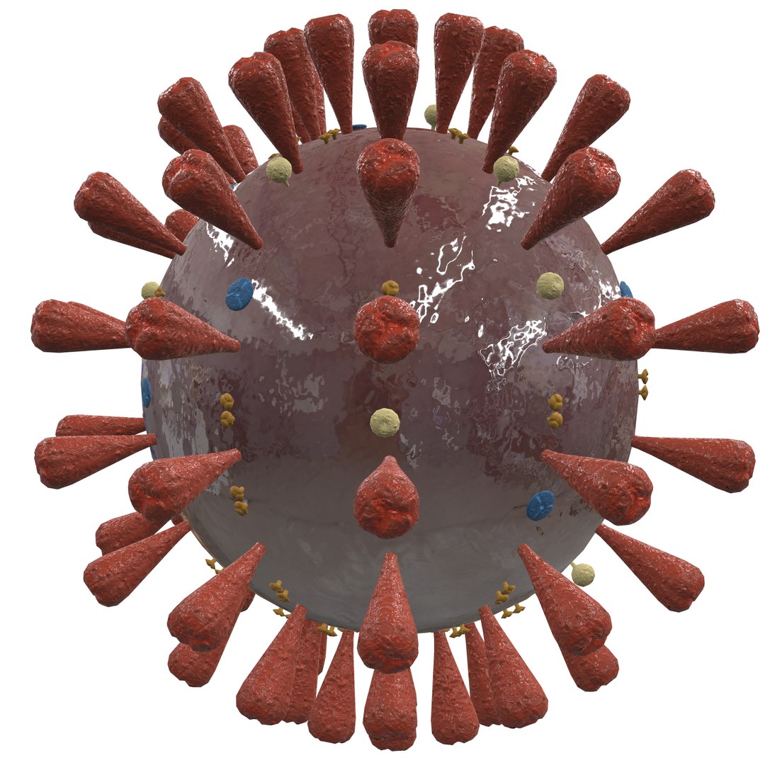 Coronavirus Virus Cell Model - TurboSquid 1519563
