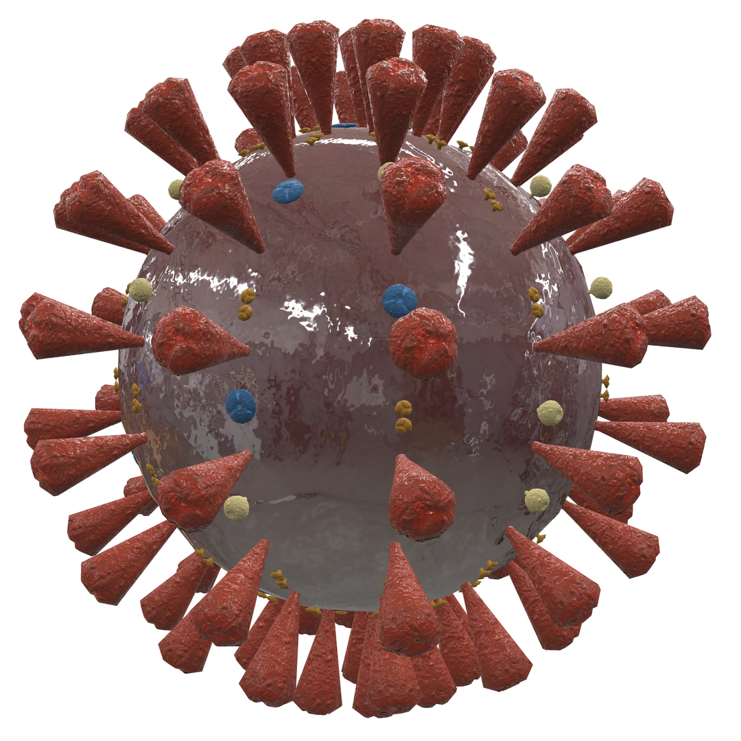 Coronavirus virus cell model - TurboSquid 1519563