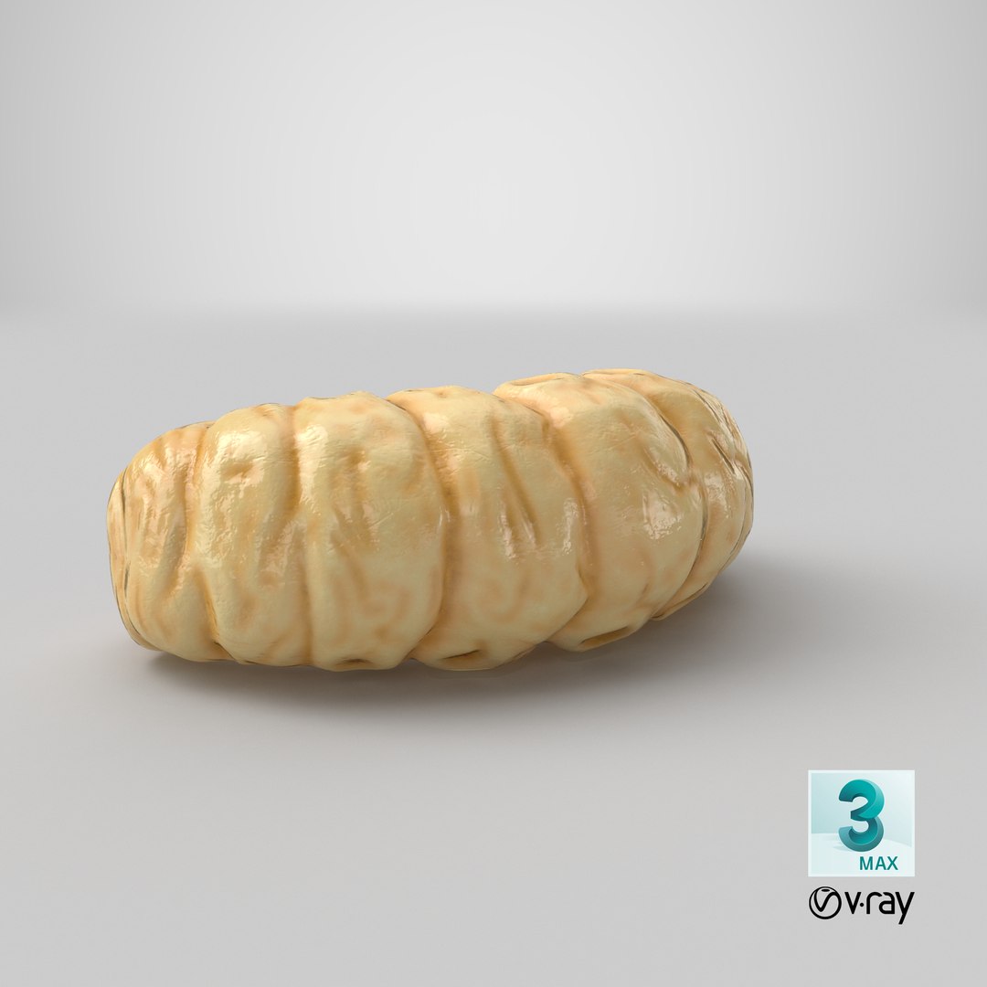 Maggot rolled 3D model - TurboSquid 1375527