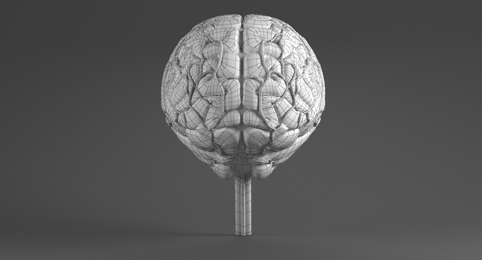 3d 3ds Brain Details