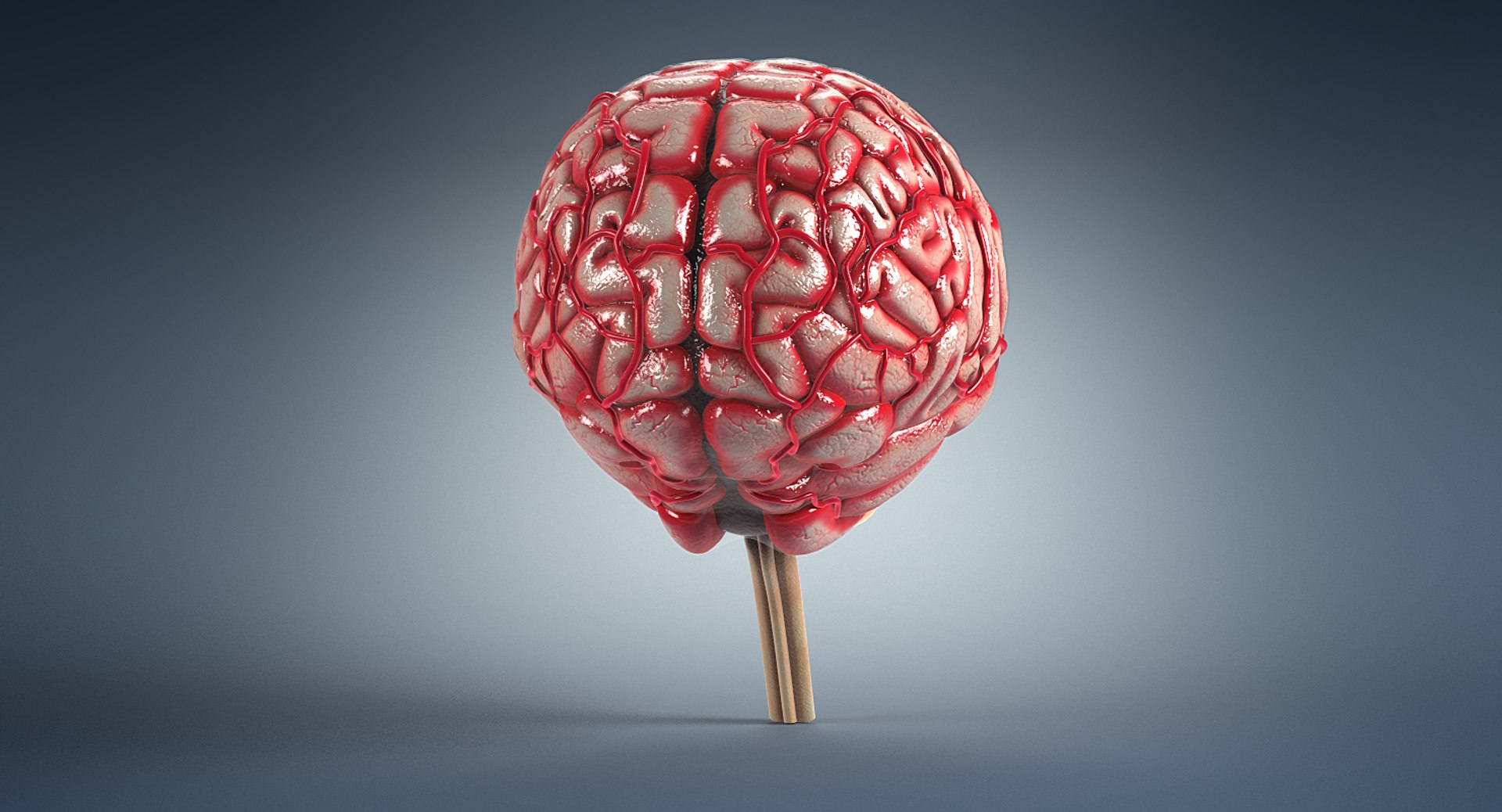 3d 3ds Brain Details