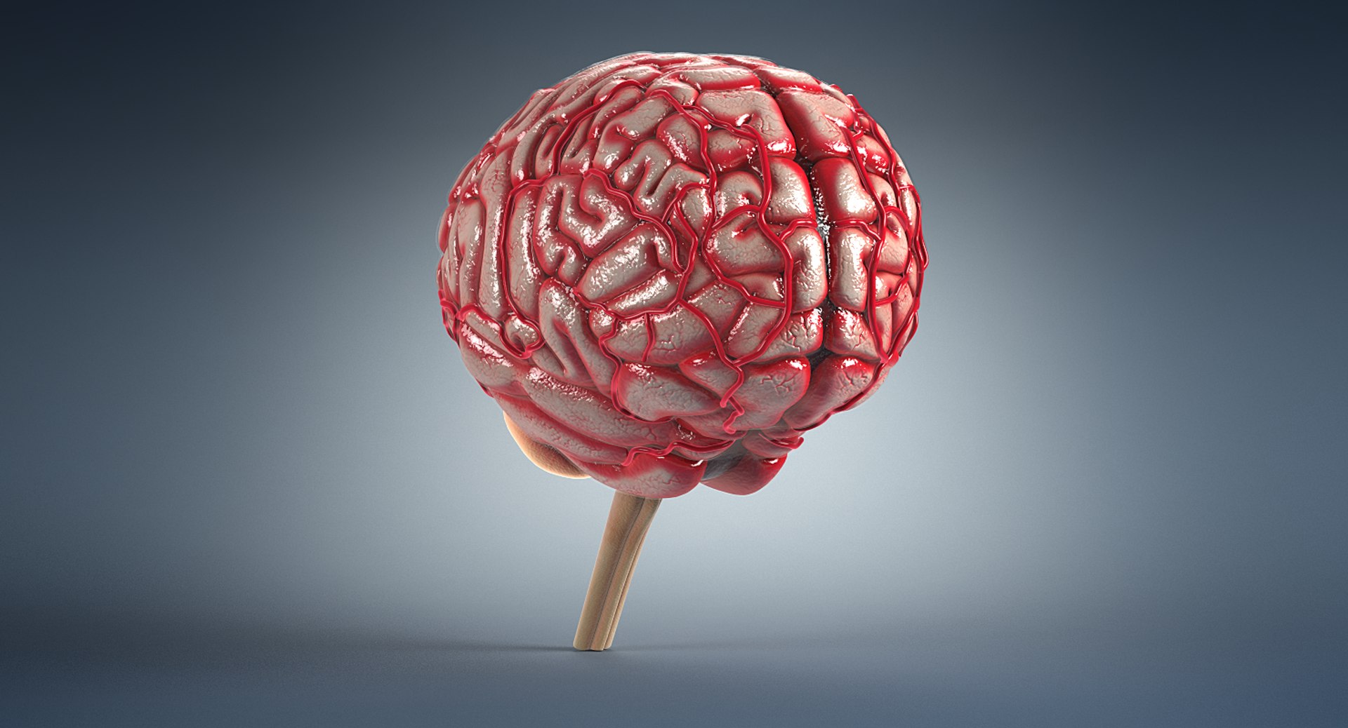 3d 3ds Brain Details