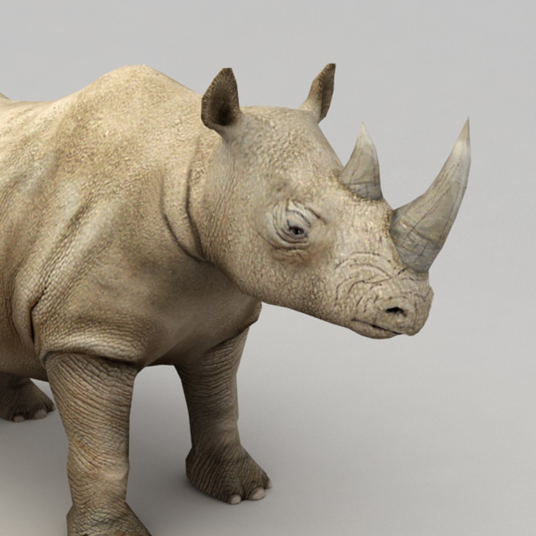 Rigged Rhino 3d Obj