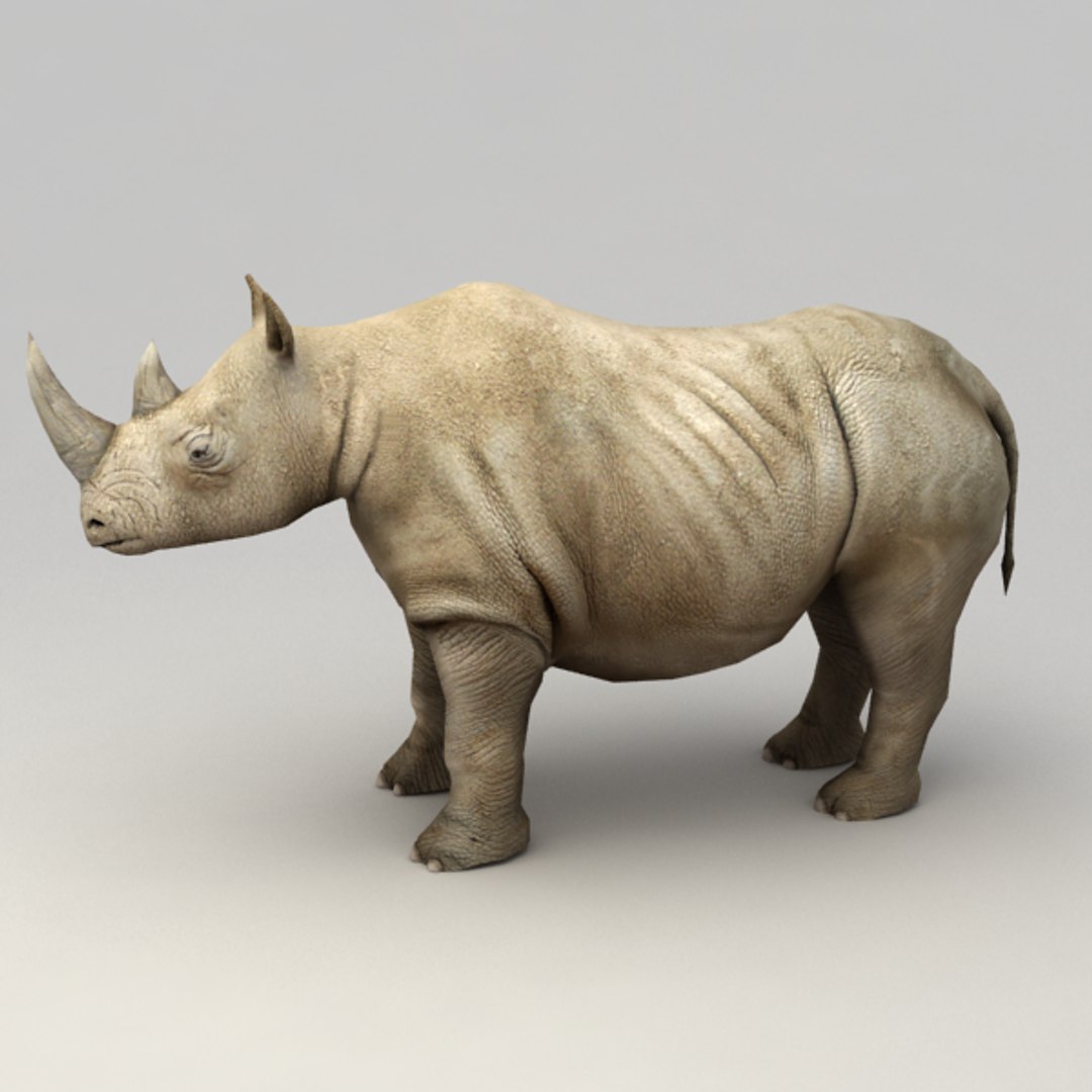 Rigged Rhino 3d Obj