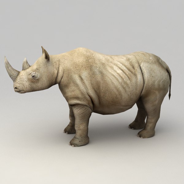 rigged rhino 3d obj
