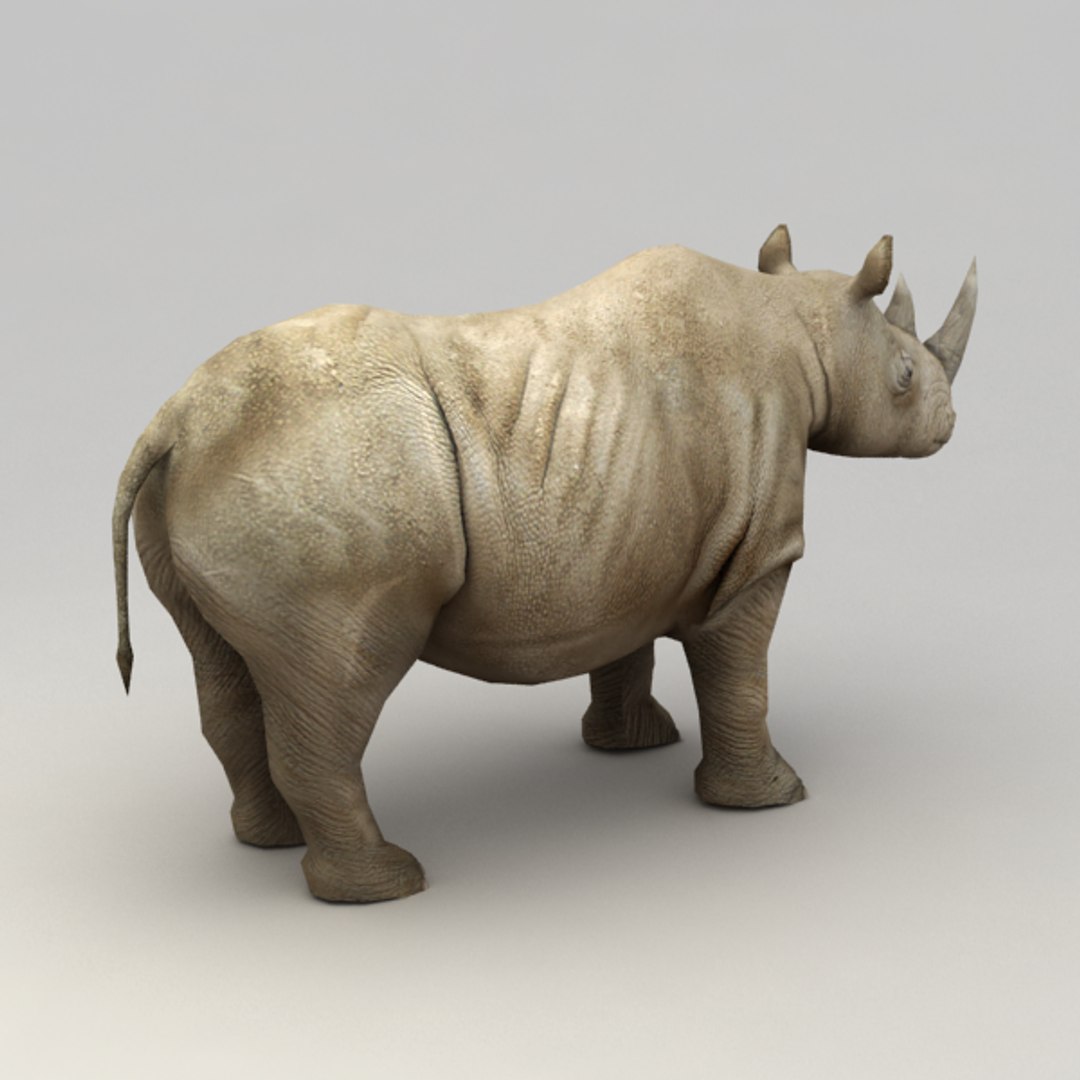Rigged Rhino 3d Obj