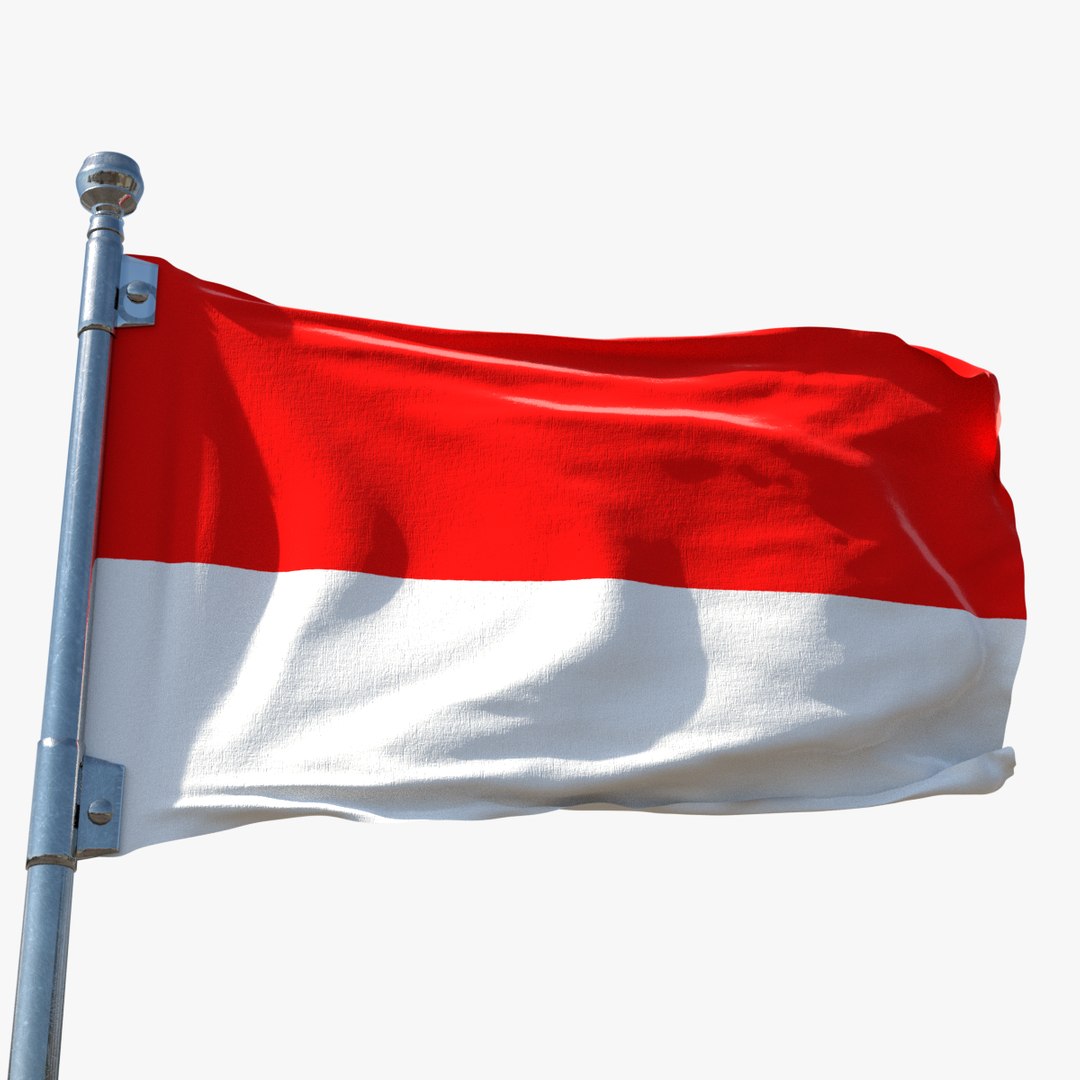 Free flag animation 3D model - TurboSquid 1588608