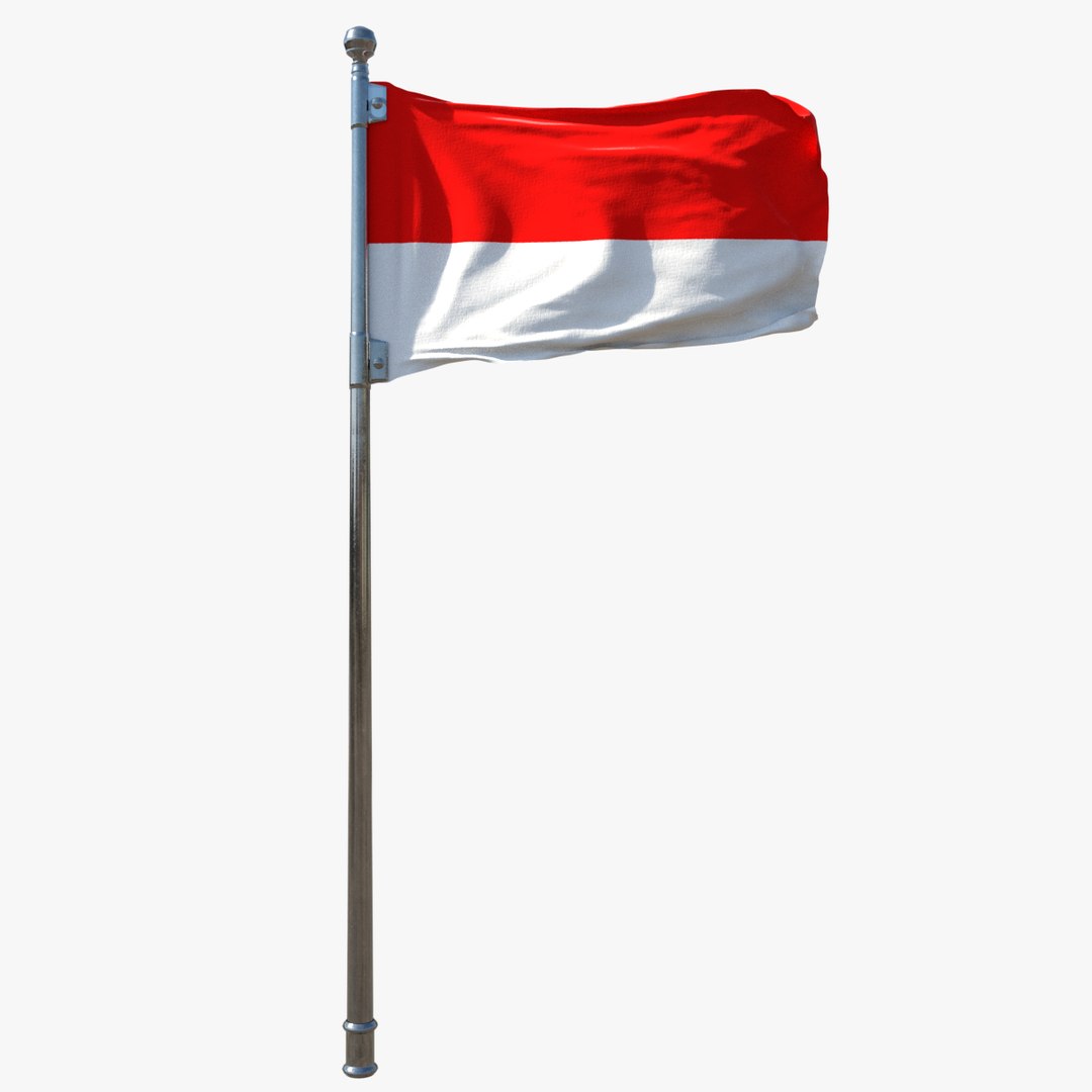 Free Flag Animation 3D Model - TurboSquid 1588608