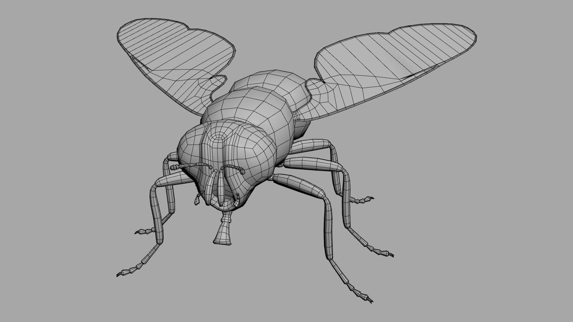 Housefly 3D Model - TurboSquid 1813066