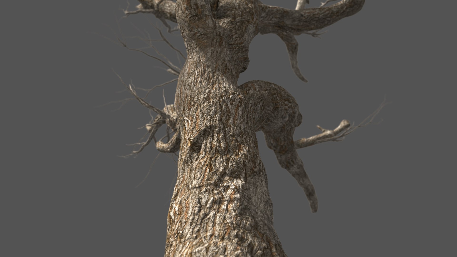 Old Tree 3D - TurboSquid 1615508