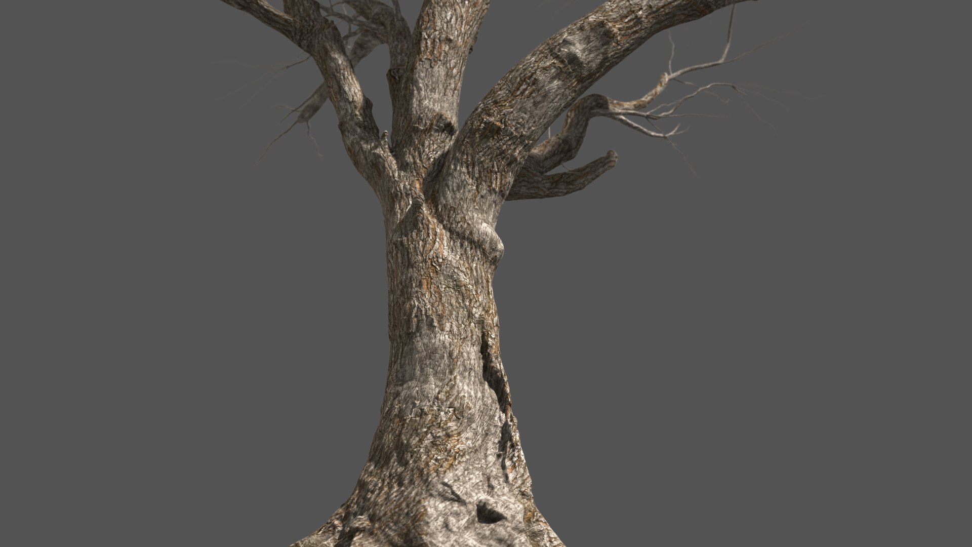 Old Tree 3D - TurboSquid 1615508