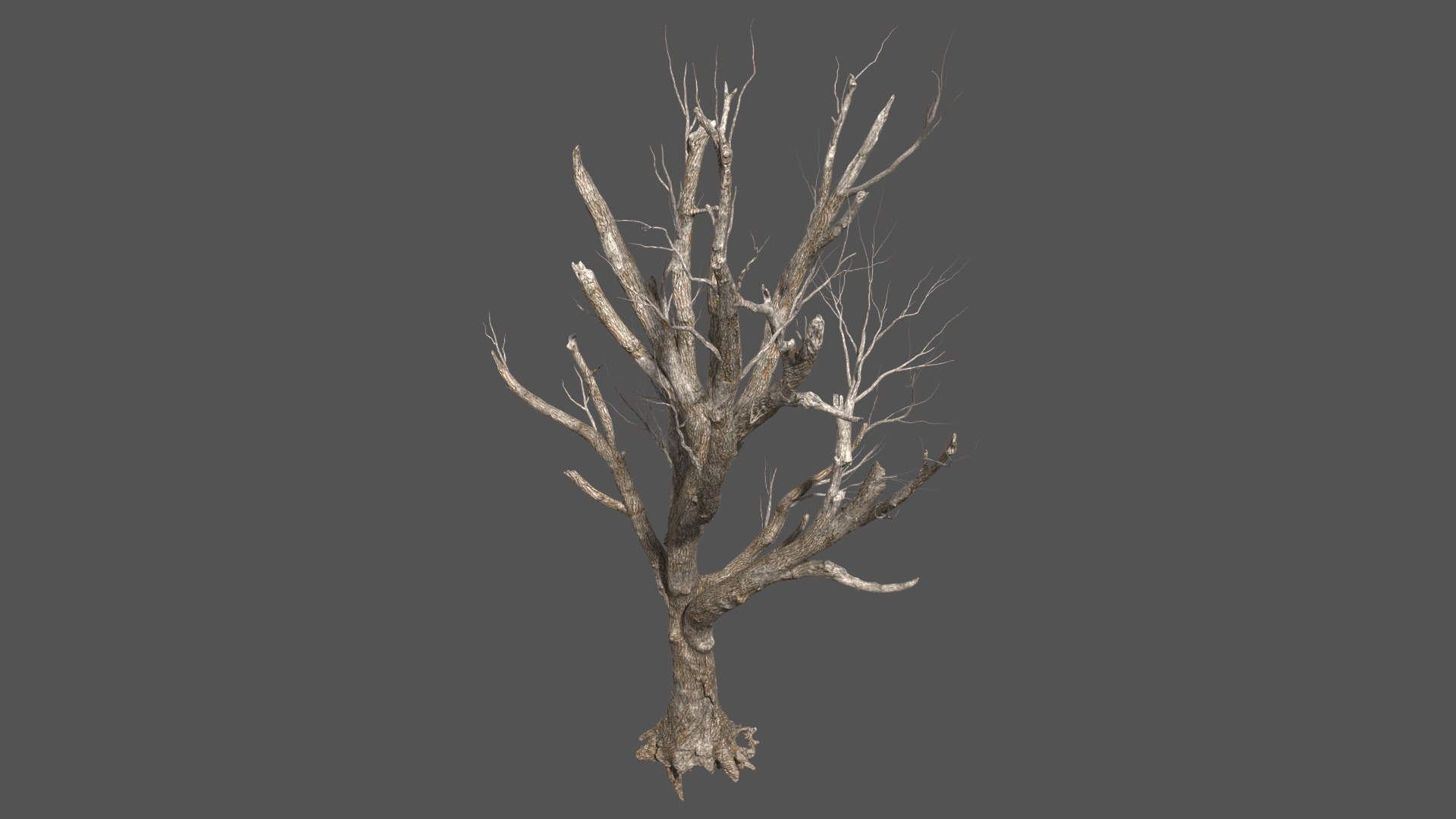 Old Tree 3D - TurboSquid 1615508