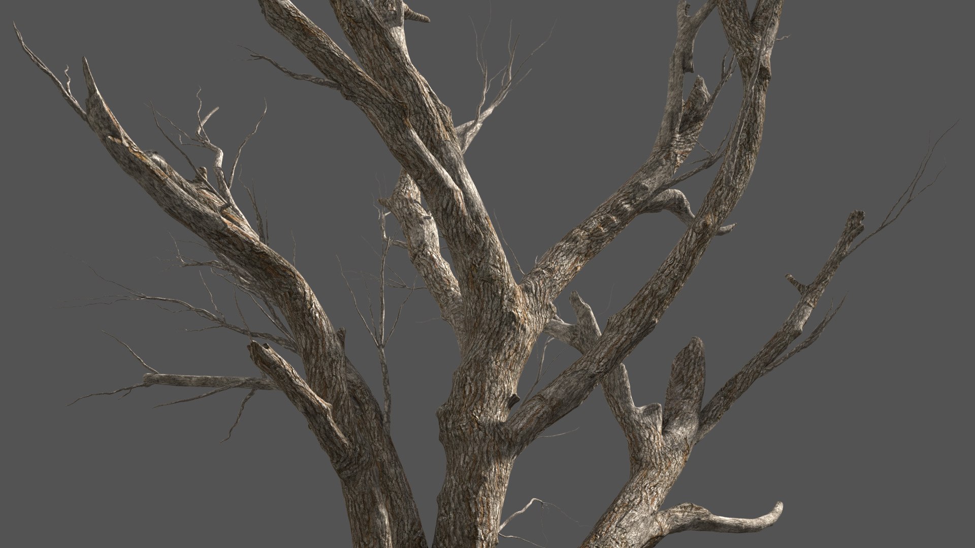 Old Tree 3D - TurboSquid 1615508