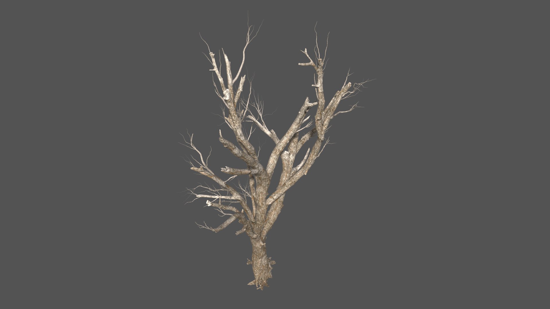 Old Tree 3D - TurboSquid 1615508