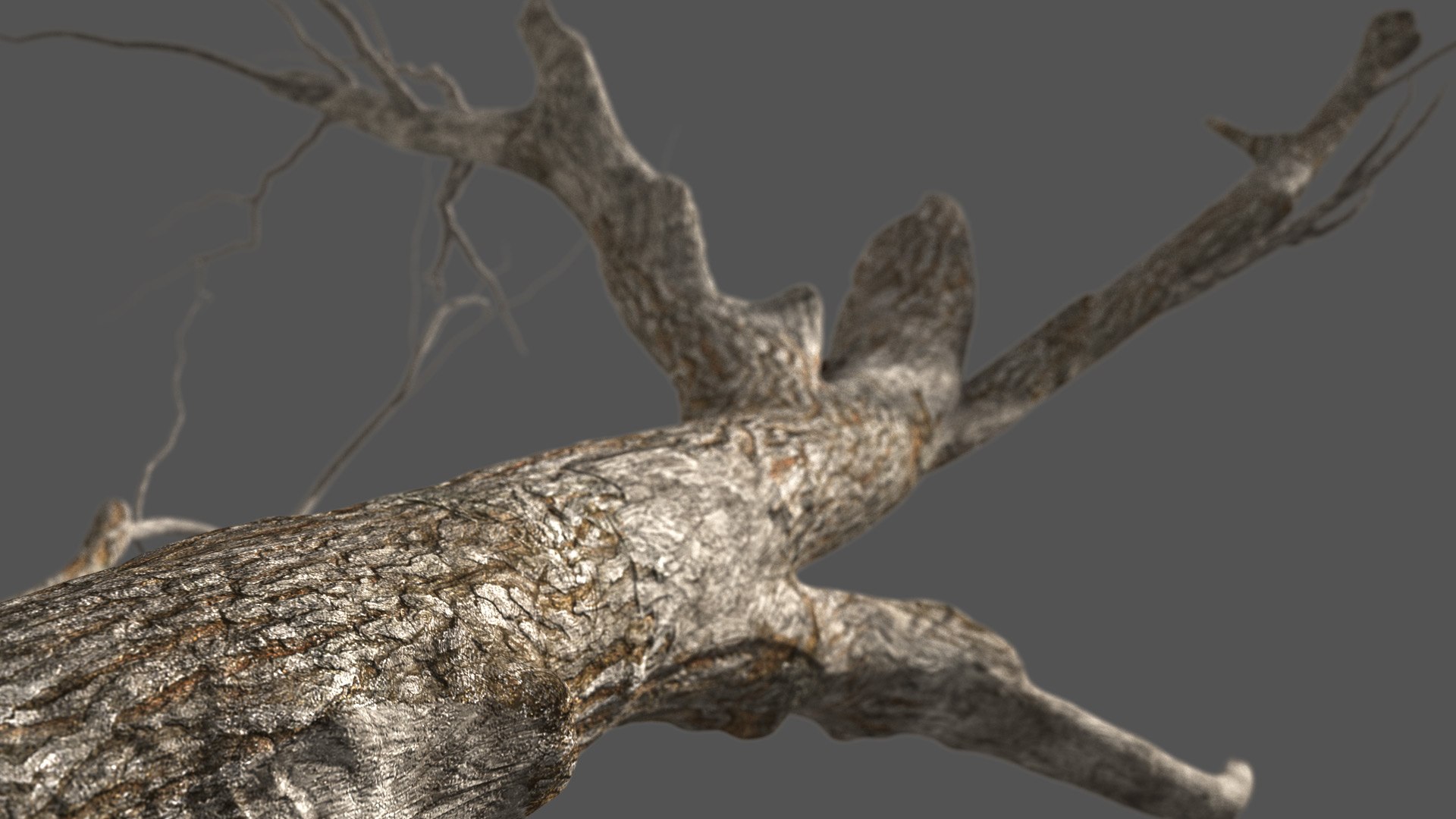 Old tree 3D - TurboSquid 1615508