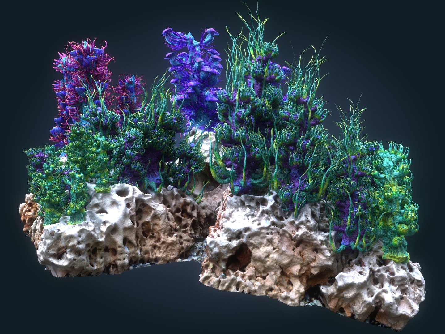 3D Coral Reef Ecosystem - TurboSquid 1365877