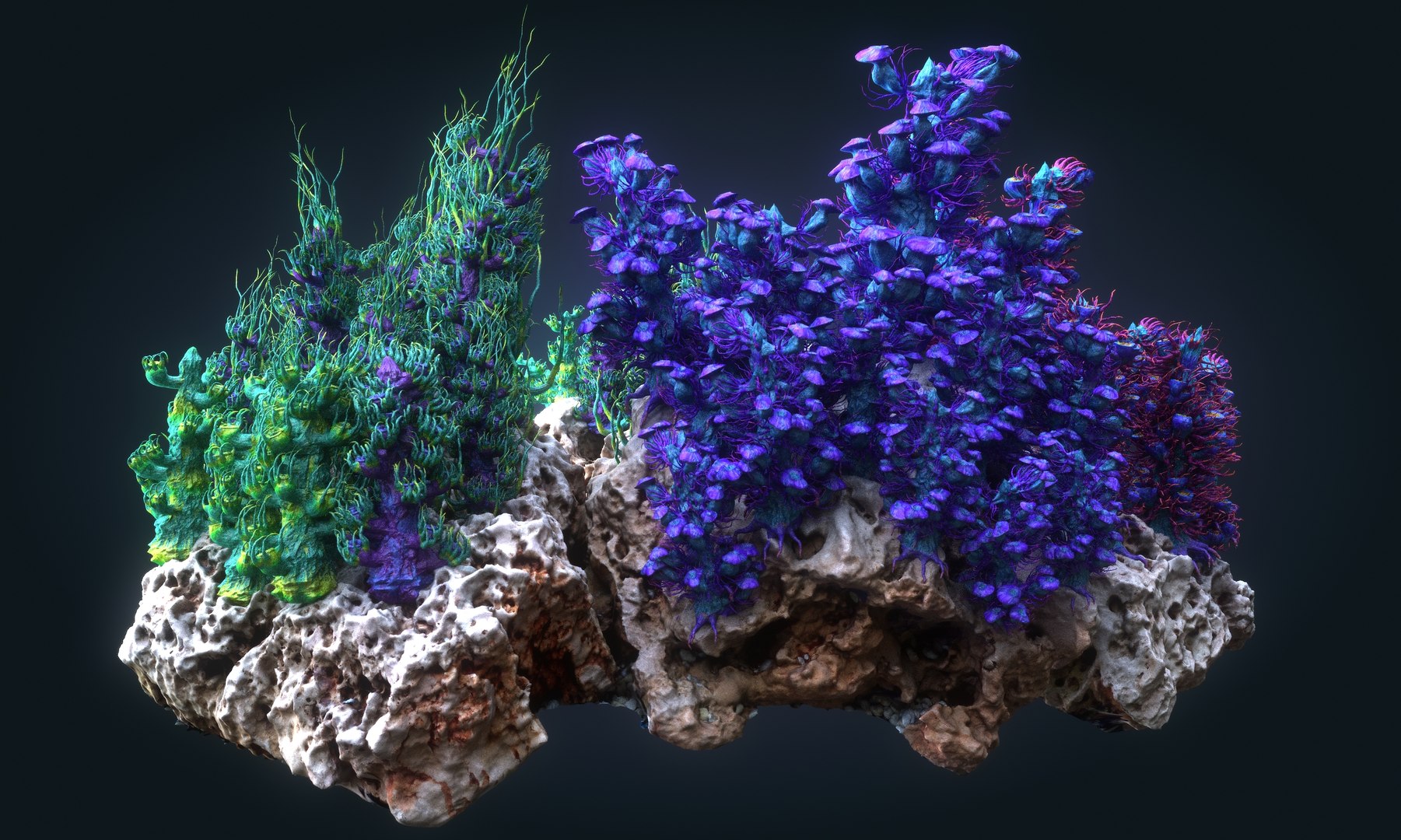 3D Coral Reef Ecosystem - TurboSquid 1365877