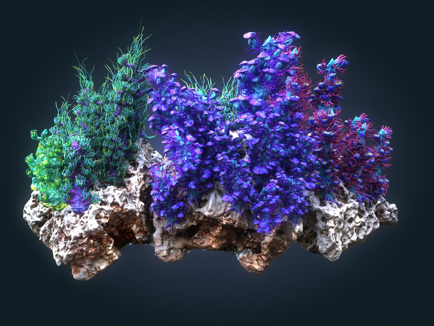 3D Coral Reef Ecosystem - TurboSquid 1365877