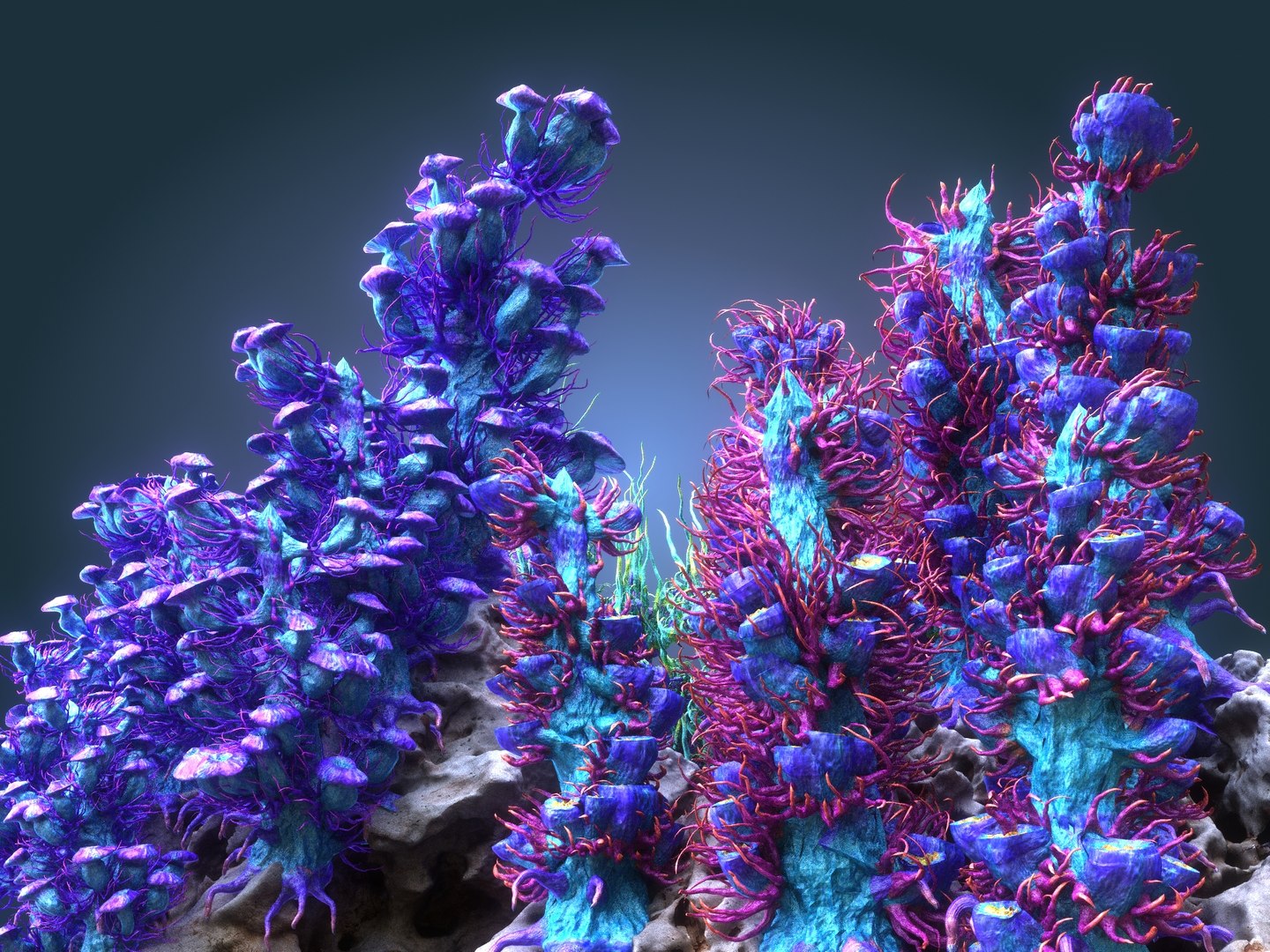 3D Coral Reef Ecosystem - TurboSquid 1365877