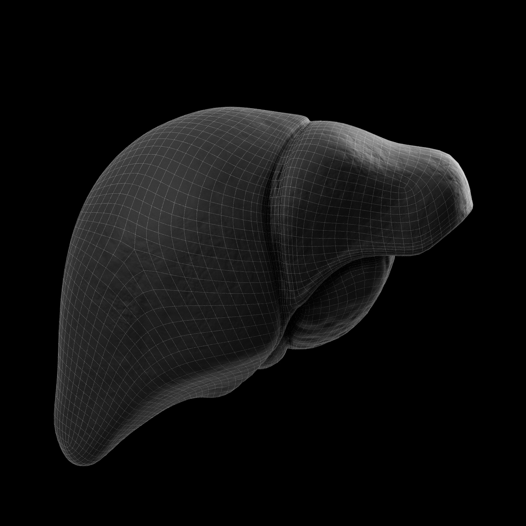 3D Model Human Liver - TurboSquid 2292081