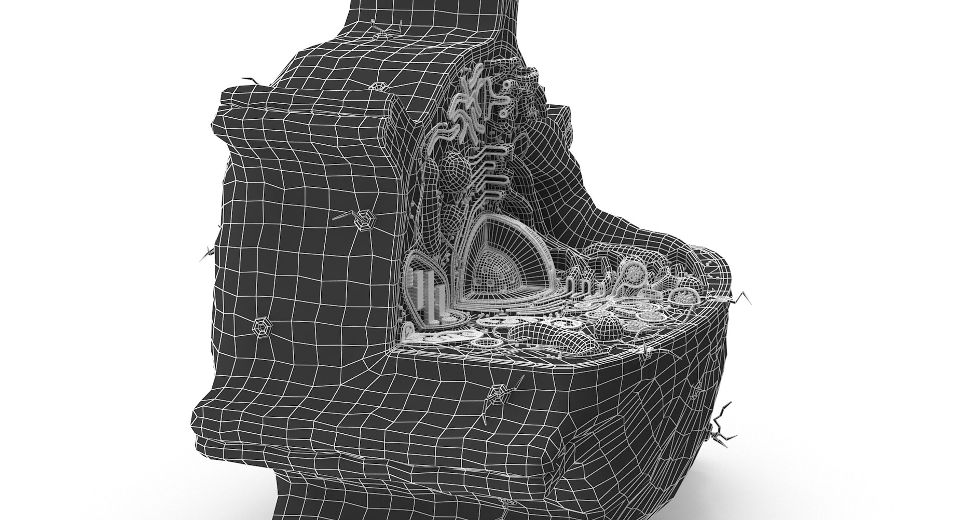 3d Model Of Plant Cell