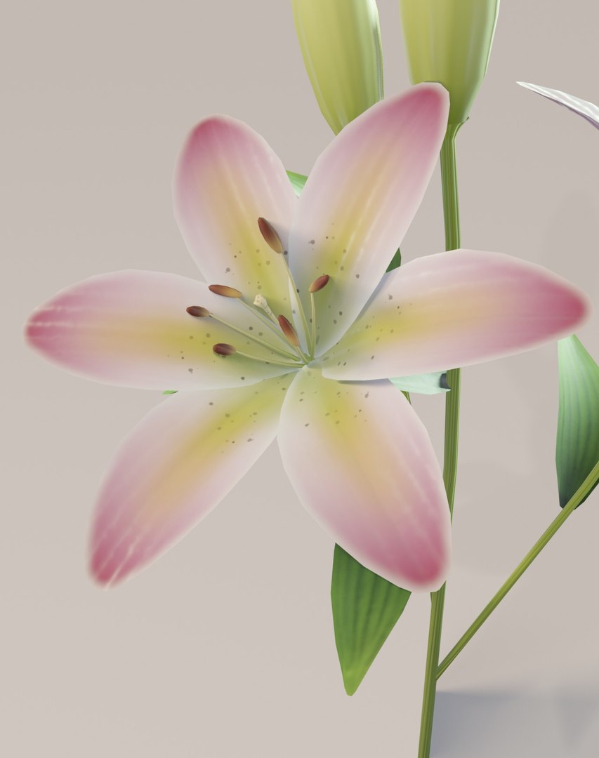 3D lily model - TurboSquid 1500696