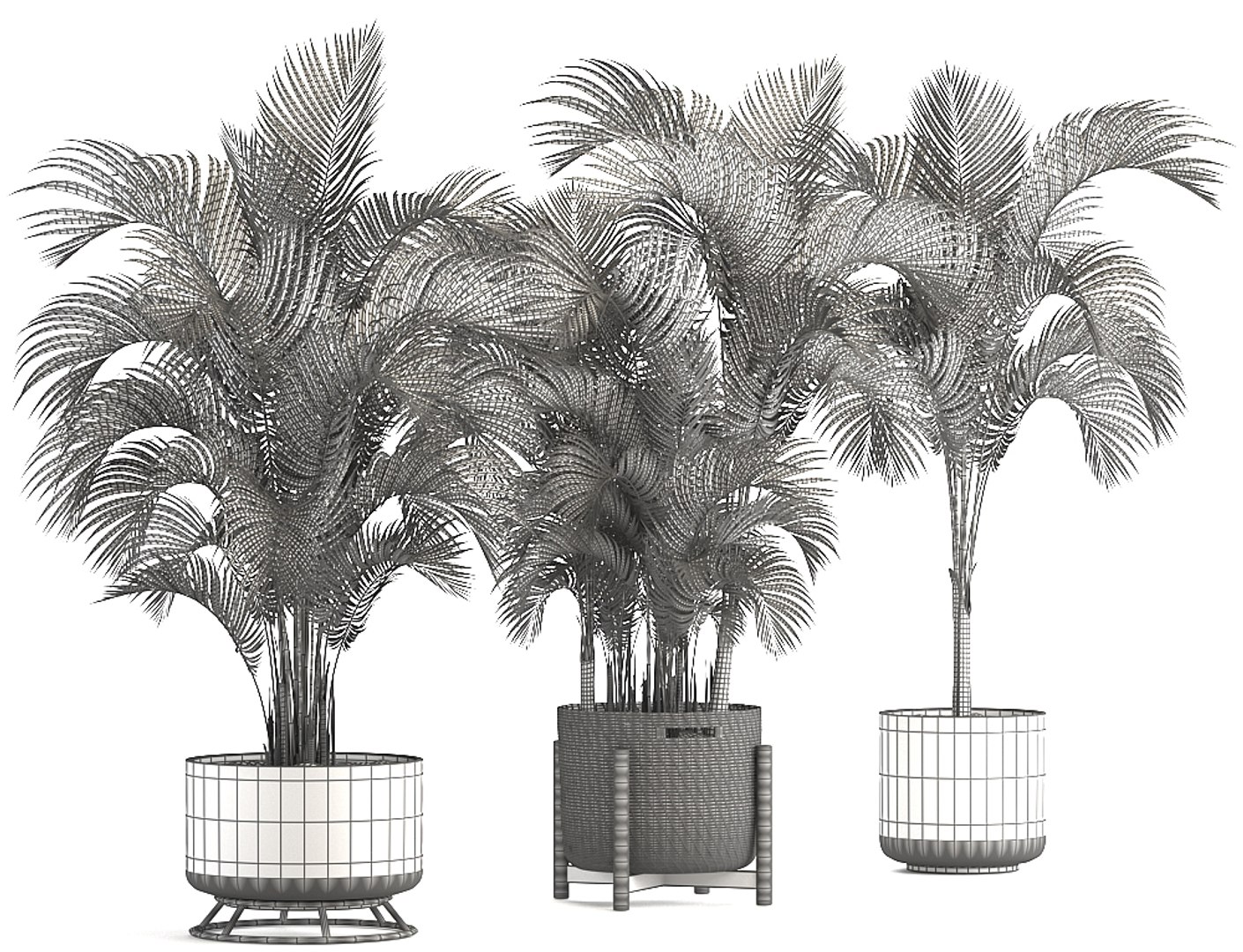 3D Decorative Palms Model - TurboSquid 1293104
