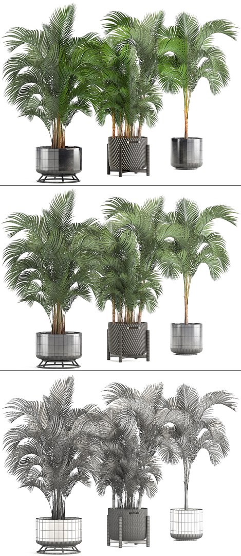 3D Decorative Palms Model - TurboSquid 1293104