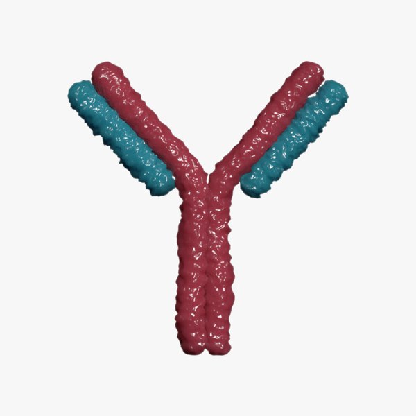 3D Antibody Models | TurboSquid