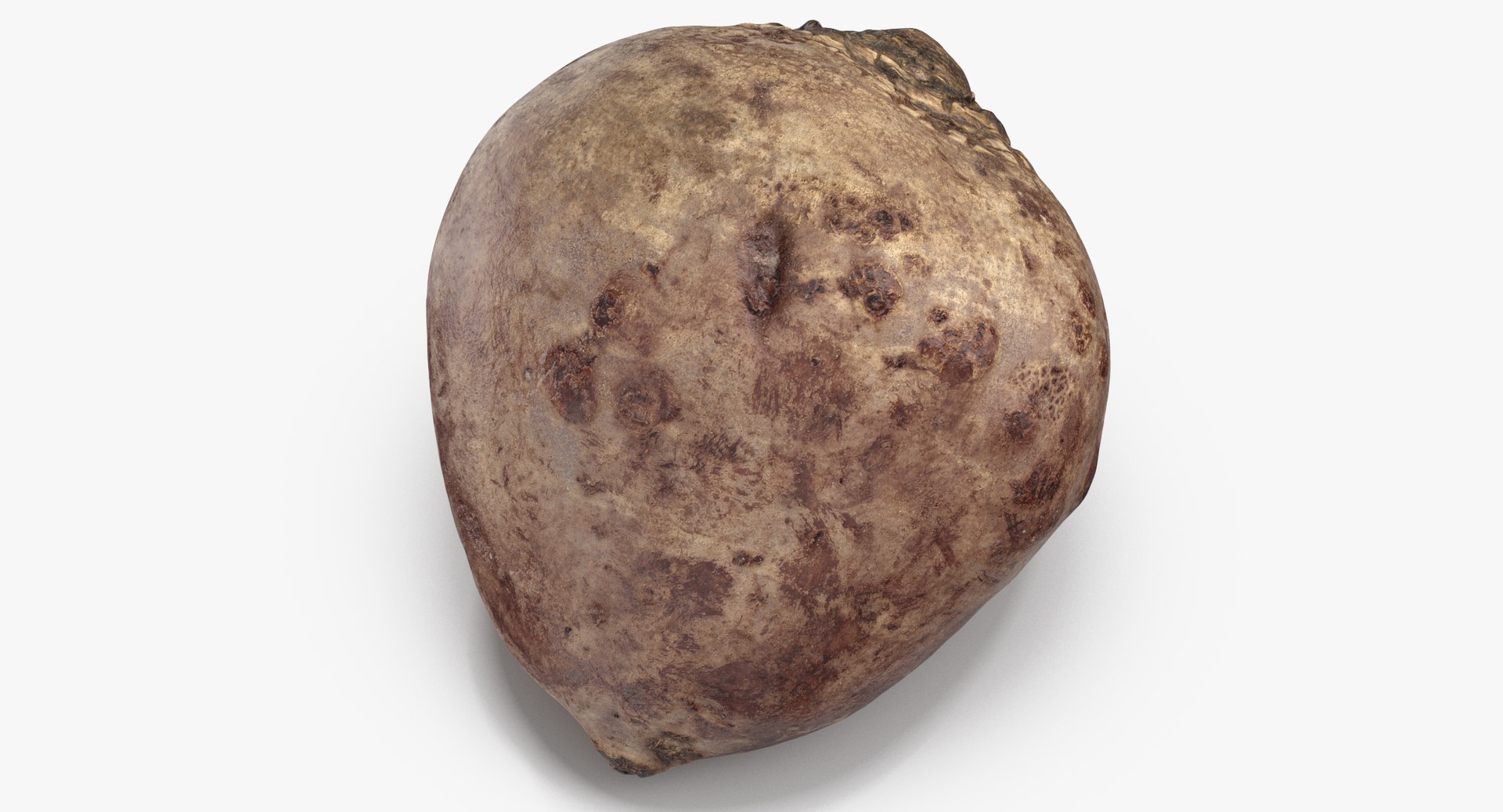Beetroot Beet Root 3D Model - TurboSquid 1394663