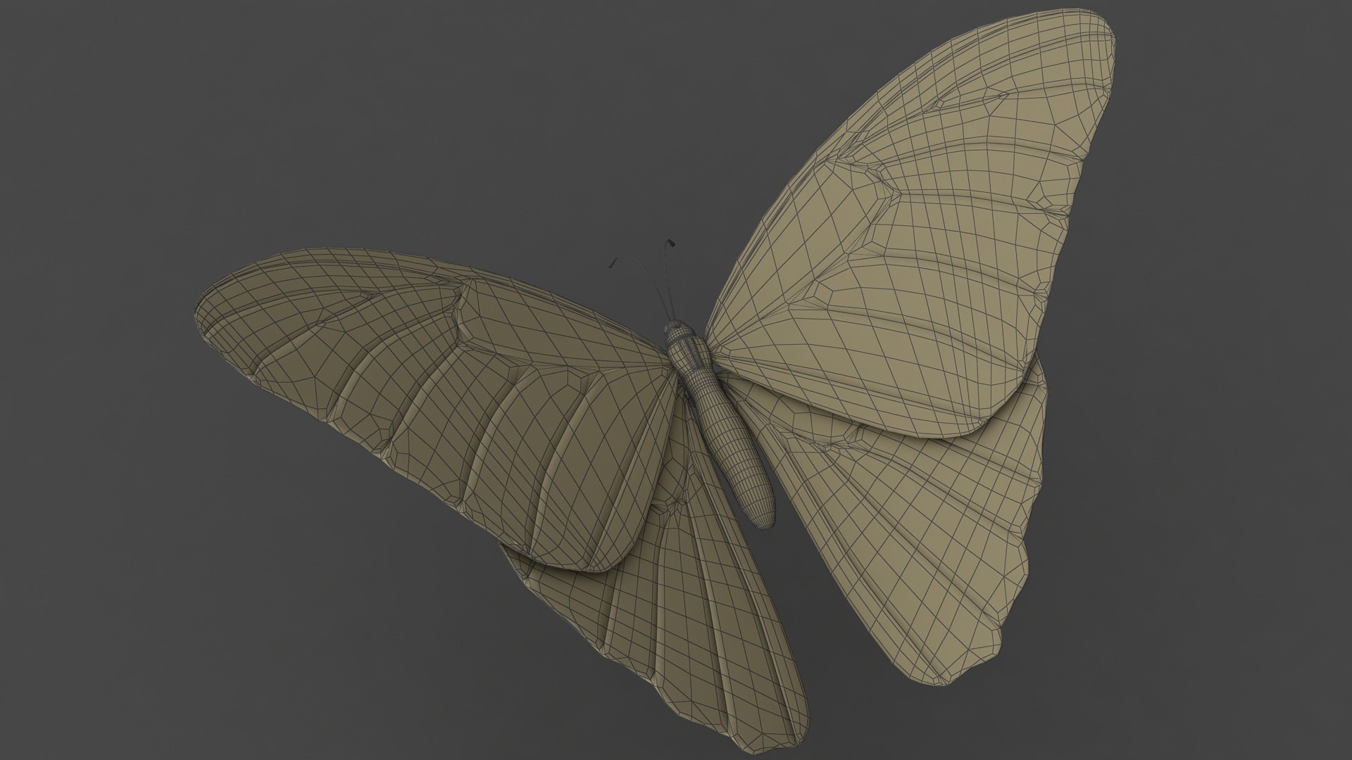 3D Morpho Peleides Butterfly Model - TurboSquid 2012512