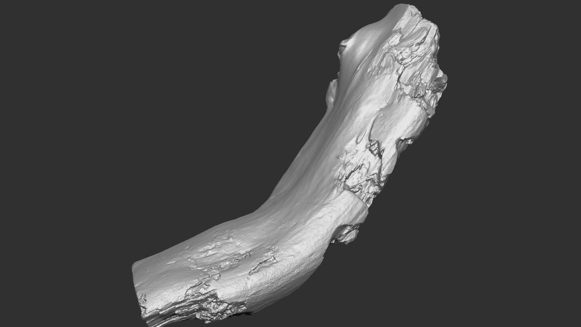 3d Scan Of Tree Trunk In Highpoly Model - TurboSquid 2149337