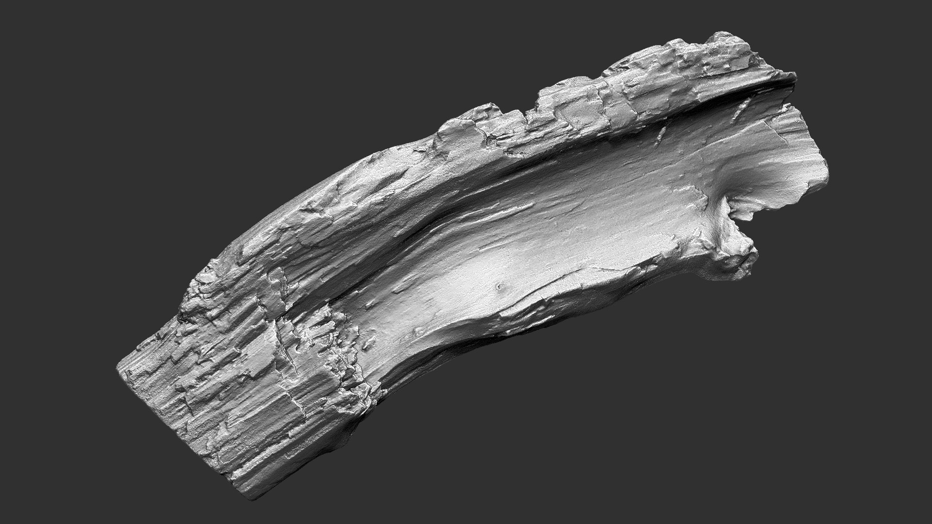 3d Scan Of Tree Trunk In Highpoly Model - TurboSquid 2149337