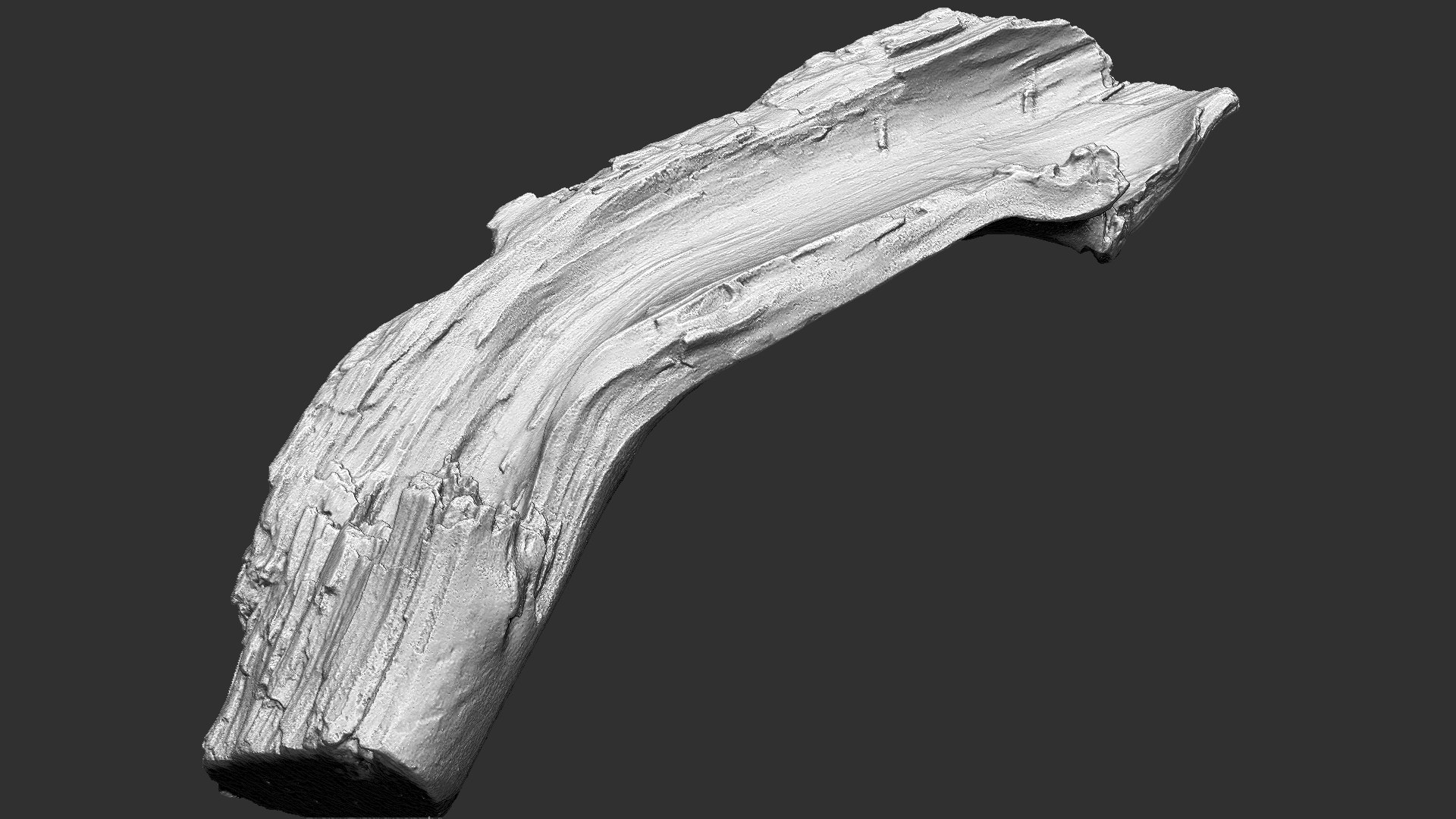 3d Scan Of Tree Trunk In Highpoly Model - TurboSquid 2149337