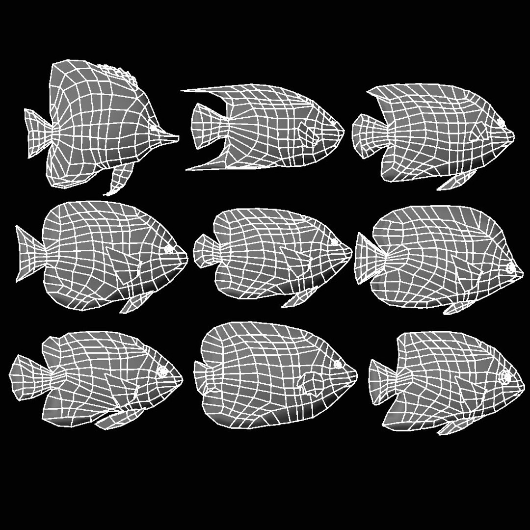 3D Fish Aquarium Model - TurboSquid 1242561