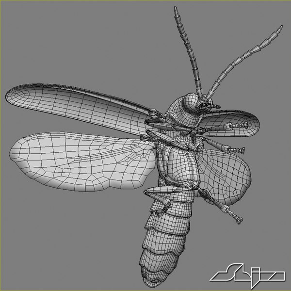 firefly bug rigged bones max