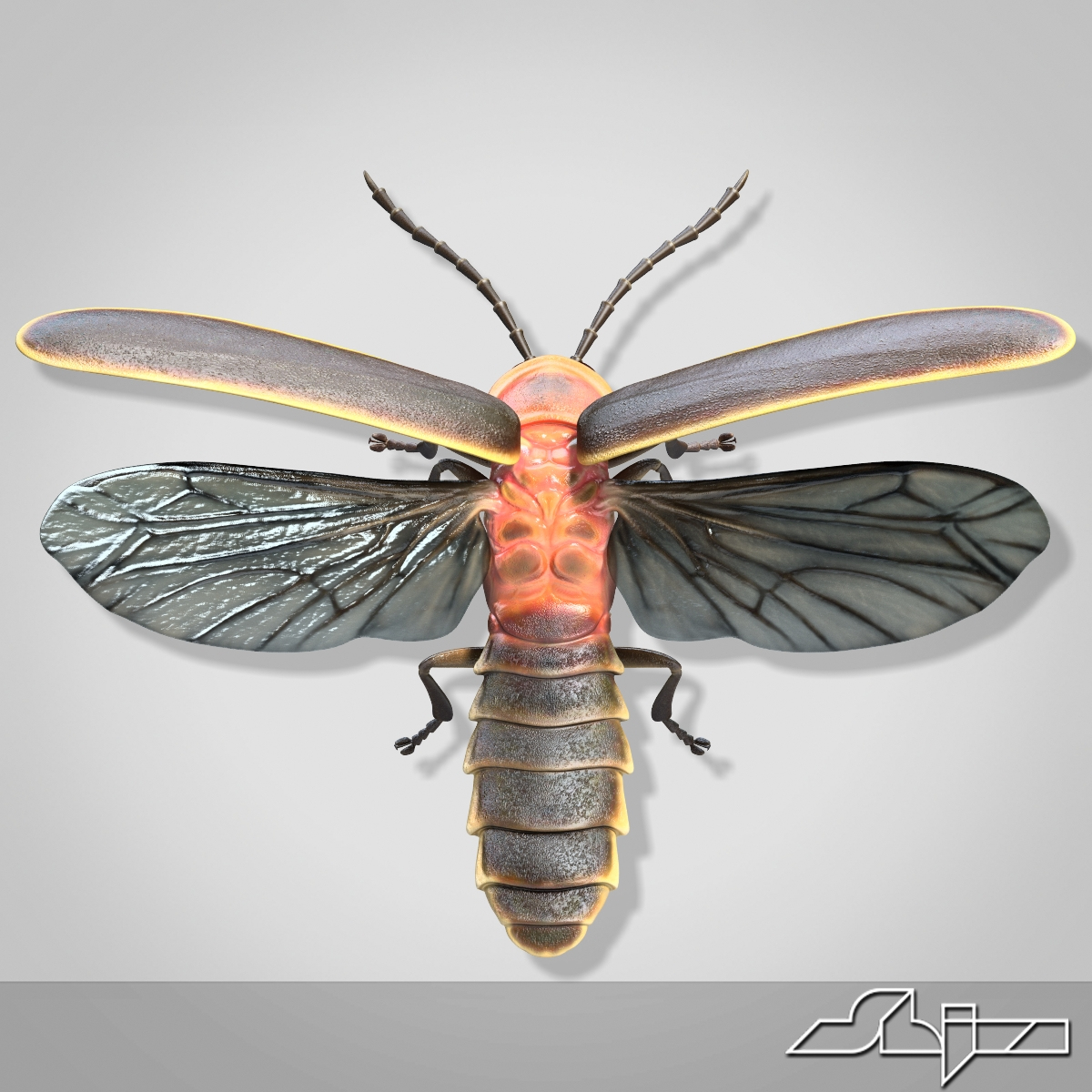 firefly bug rigged bones max