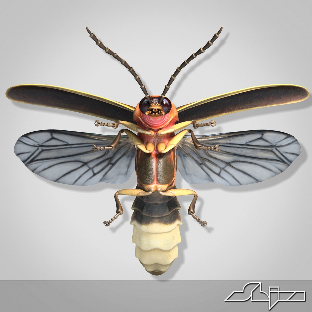 firefly bug rigged bones max
