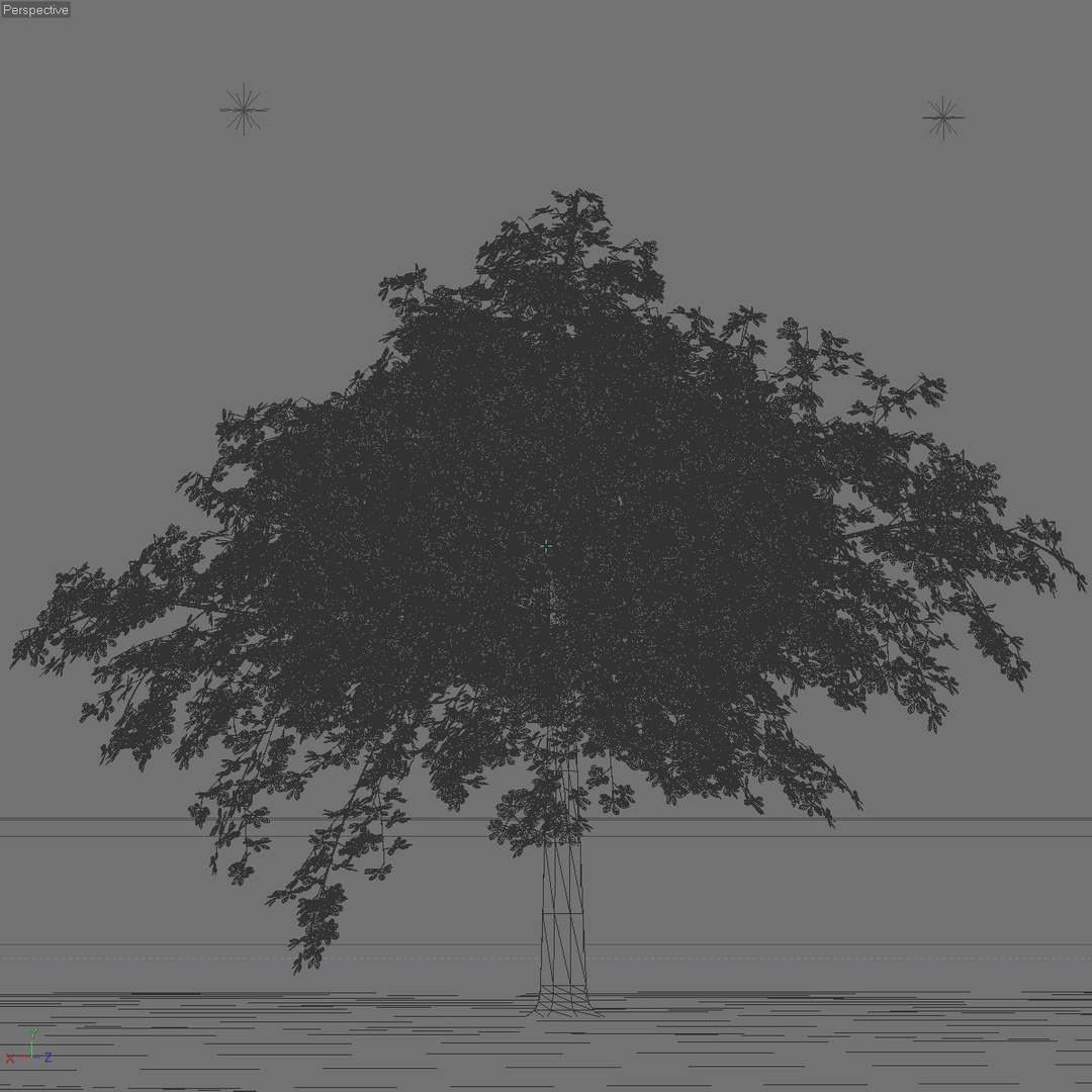 3d Model Plane Tree