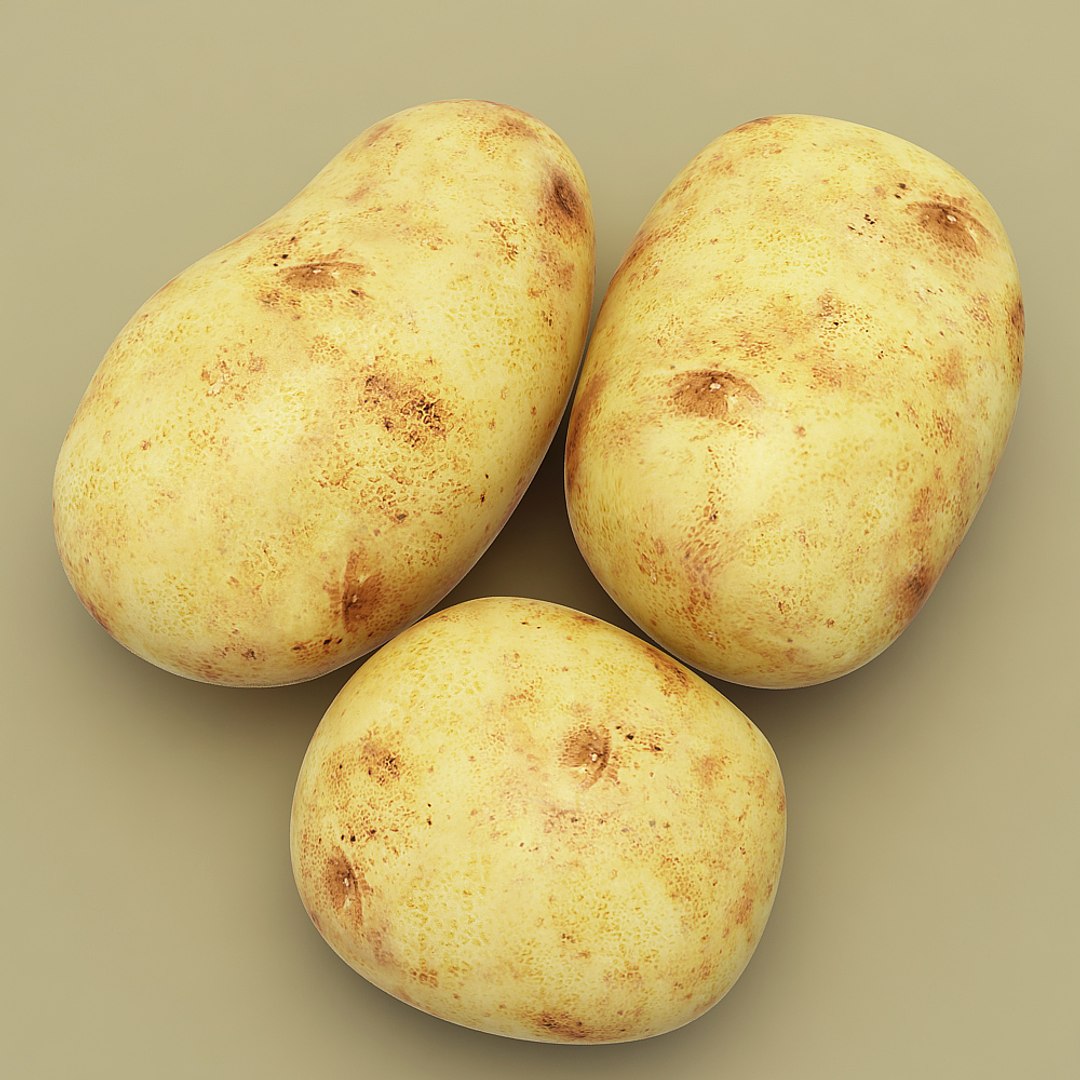 potato 3d model