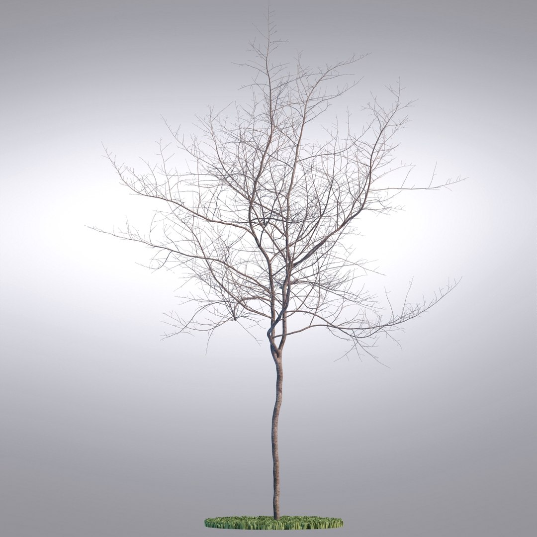3d Model Hi Realistic Series Tree