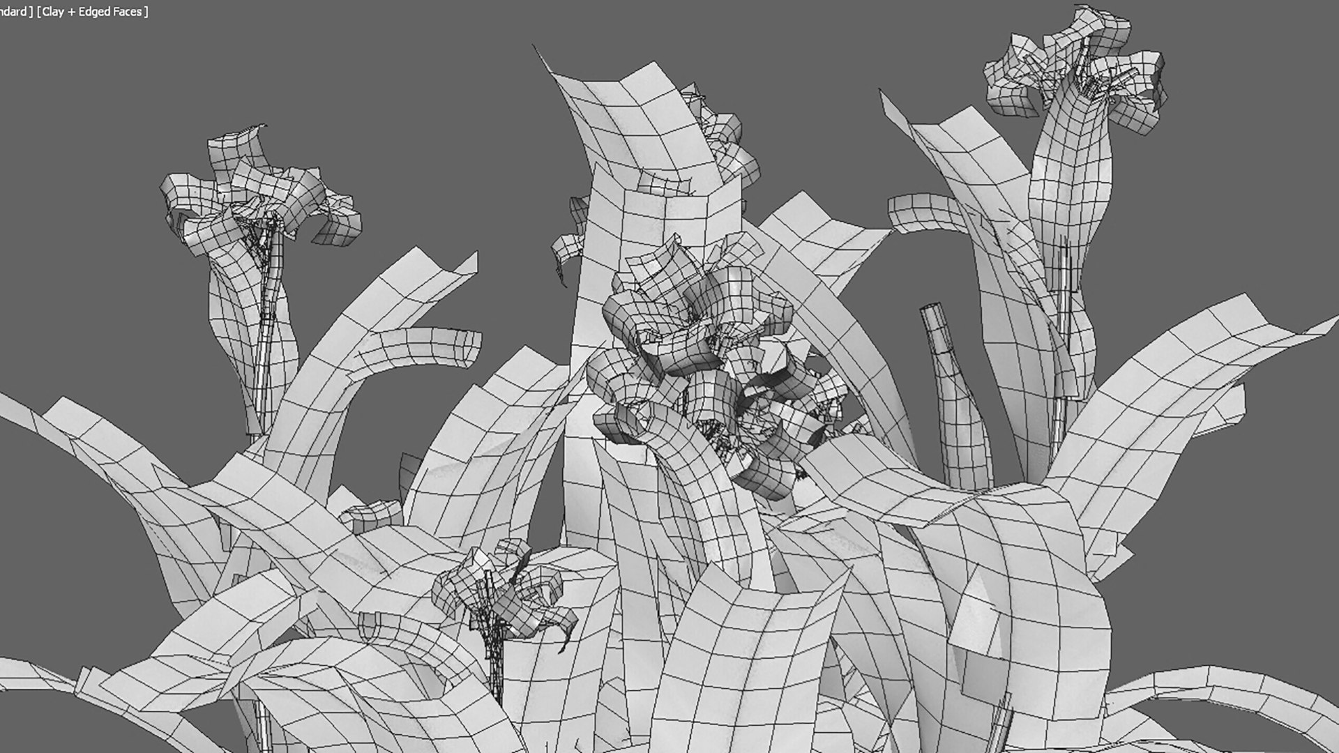 3D Model Canna - Canna Lily-01 - TurboSquid 1781202