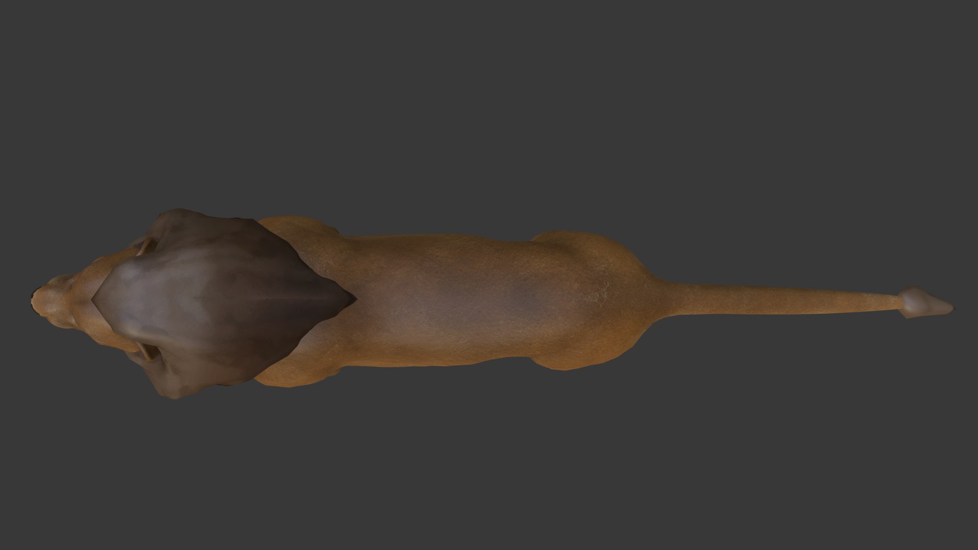 3D Game-Ready Realistic Rigged Lion - TurboSquid 2254501