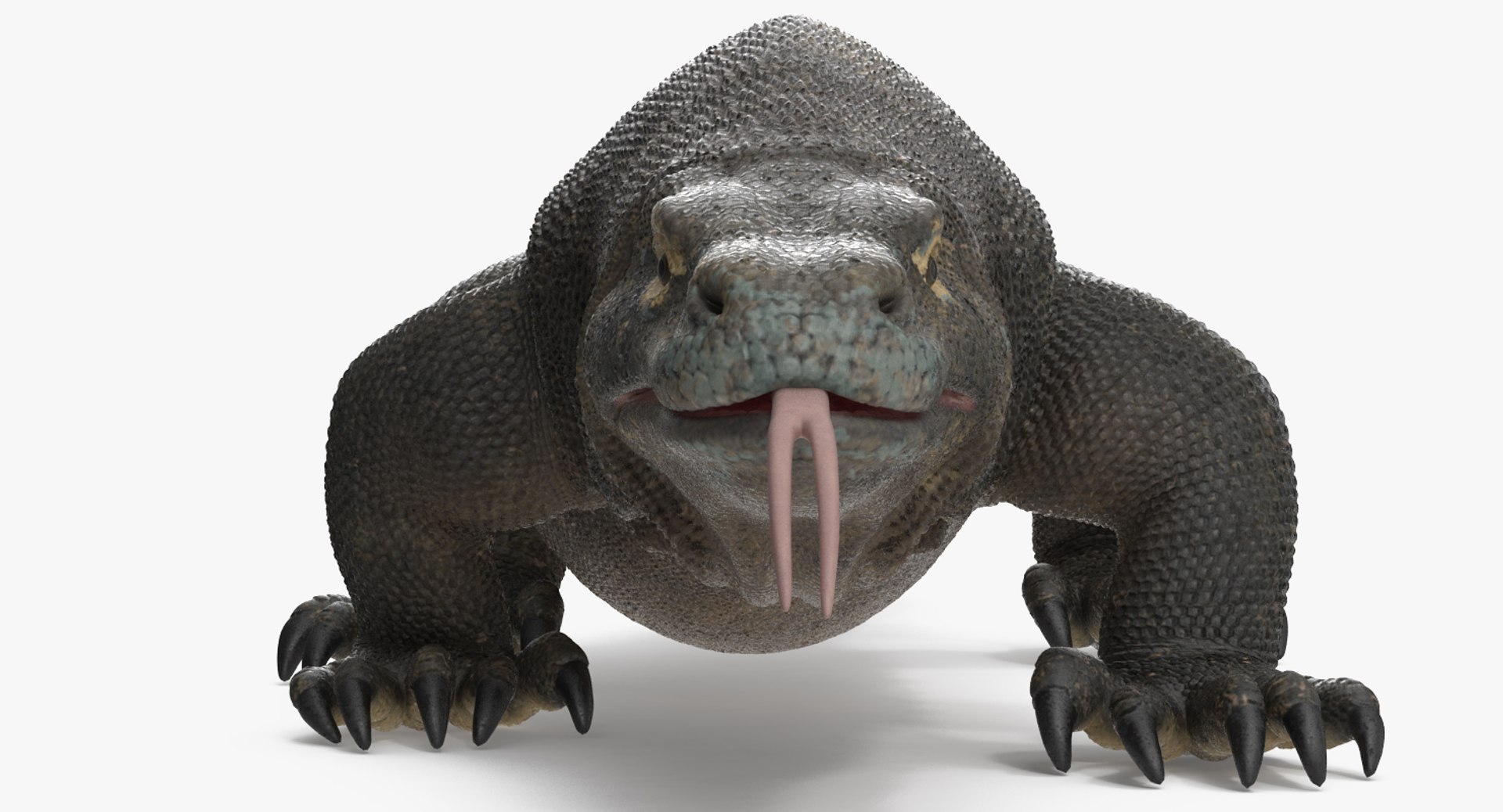 Komodo Dragon Walking Pose 3D Model - TurboSquid 1372909
