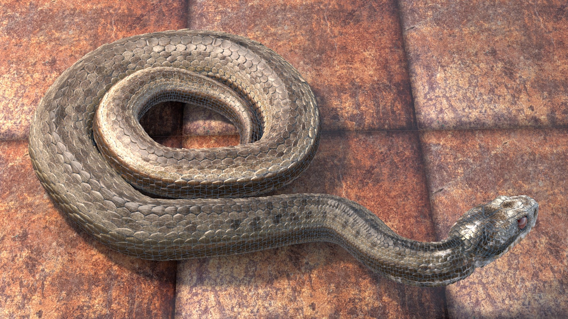Adder Viper Snake Animation 3d C4d
