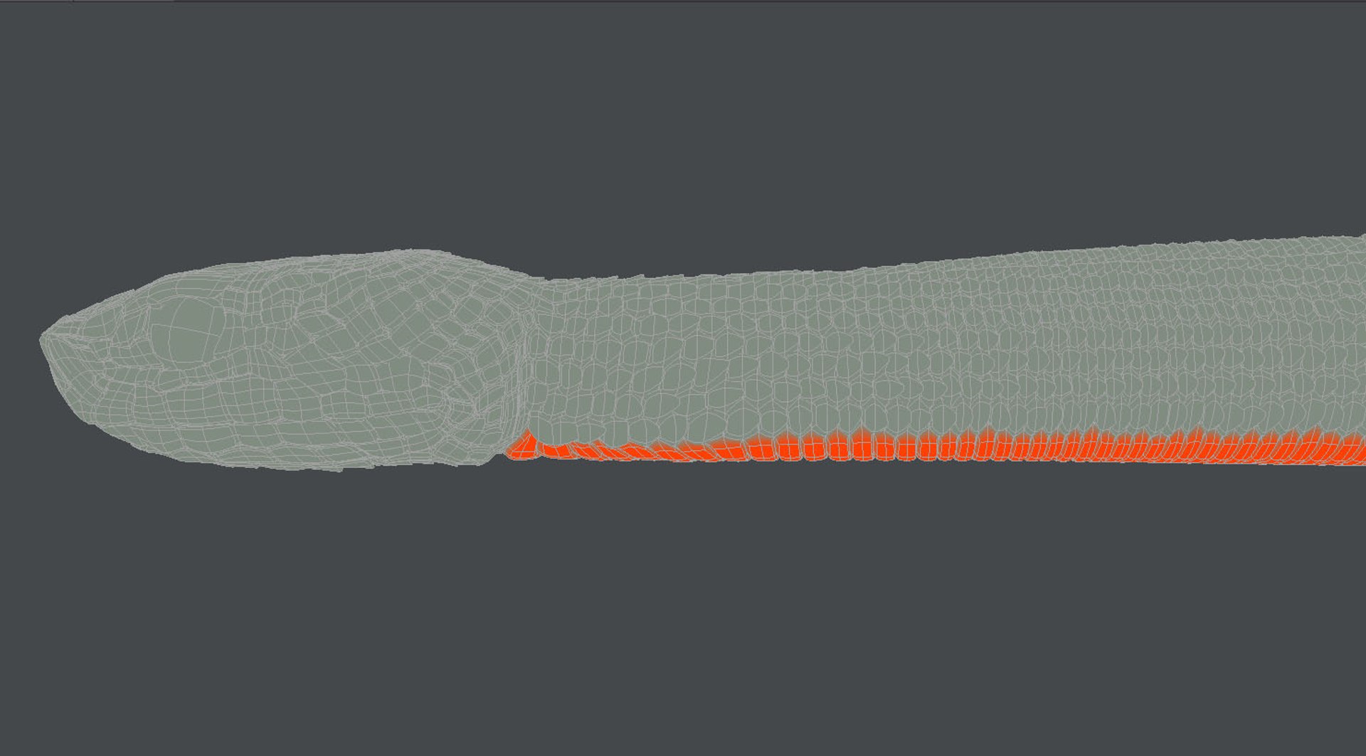 Adder Viper Snake Animation 3d C4d